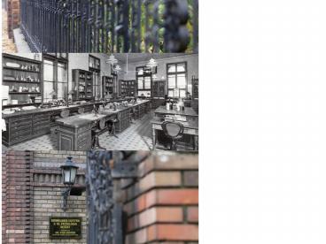 Pathology of the exocrine pancreas presentation | free to view