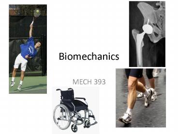 PPT – Biomechanics PowerPoint presentation | free to view - id: 87d8f-ZDc1Z