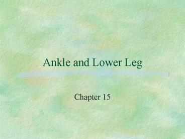 PPT – Ankle and Lower Leg PowerPoint presentation | free to view - id ...