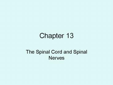 PPT – The Spinal Cord and Spinal Nerves PowerPoint presentation | free ...