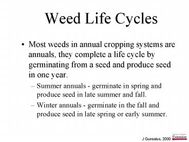 Weed Life Cycles presentation | free to view