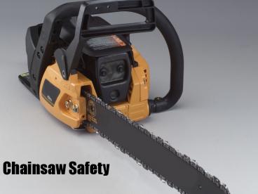 Chainsaw Safety presentation | free to view