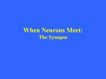 PPT – When Neurons Meet: The Synapse PowerPoint presentation | free to ...