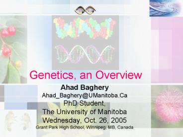Genetics, an Overview presentation | free to view