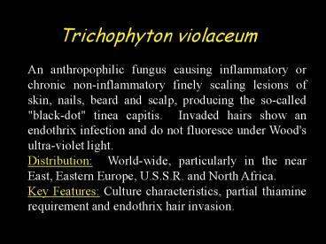 PPT – Trichophyton violaceum PowerPoint presentation | free to view ...