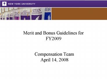 Merit and Bonus Guidelines for FY2009 presentation | free to view