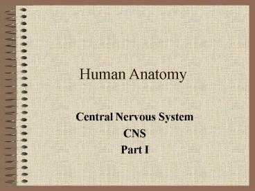 PPT – Human Anatomy PowerPoint presentation | free to view - id: 99fa7 ...