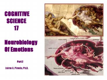 Neuroscience of Emotions presentation | free to view