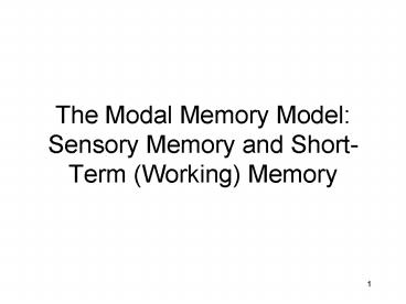 The Modal Memory Model: Sensory Memory and ShortTerm Working Memory presentation | free to view
