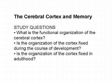The Cerebral Cortex and Memory presentation | free to view