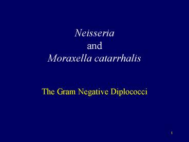 Neisseria and Moraxella catarrhalis presentation | free to view