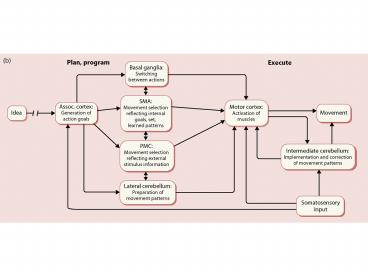 Peripheral facial paralysis (right side). The patient is asked to close ...