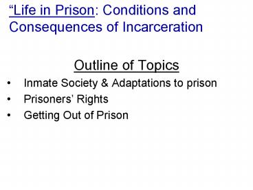 Life in Prison: Conditions and Consequences of Incarceration ...