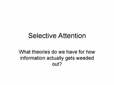 Selective Attention presentation | free to view