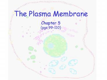 PPT – The Plasma Membrane PowerPoint presentation | free to download ...