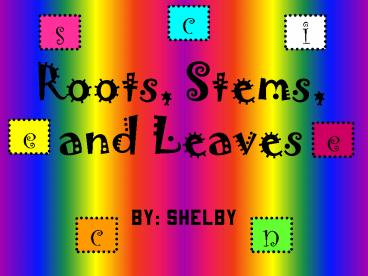 Roots, Stems, and Leaves presentation | free to view
