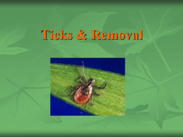 PPT – Ticks PowerPoint presentation | free to view - id: ab36a-NTQ3Y