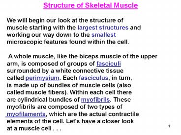 Structure of Skeletal Muscle presentation | free to view