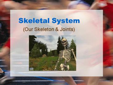 PPT – Skeletal System PowerPoint presentation | free to view - id ...