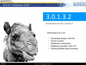 Introduction to CGI: presentation | free to download