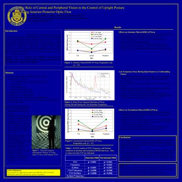 PPT – The Role of Central and Peripheral Vision in the Control of ...