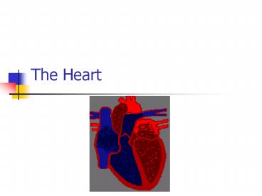 PPT – The Heart PowerPoint presentation | free to view - id: b47dc-YTYwN