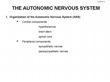 PPT – THE AUTONOMIC NERVOUS SYSTEM PowerPoint presentation | free to ...
