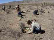 PPT – Native Americans of the Mojave Desert PowerPoint presentation ...