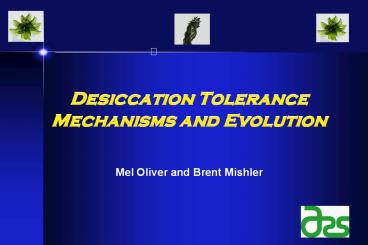 Desiccation Tolerance Mechanisms and Evolution presentation | free to ...