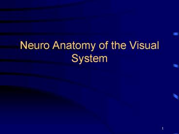 Neuro Anatomy of the Visual System presentation | free to view