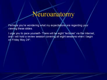 PPT – Neuroanatomy PowerPoint presentation | free to view - id: c73a7-ZDc1Z