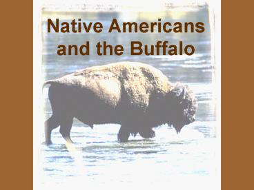 Native Americans and the Buffalo presentation | free to view