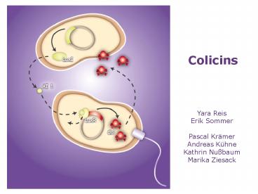 Colicins presentation | free to download