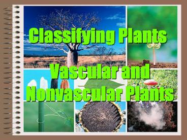 Vascular and Nonvascular Plants presentation | free to view