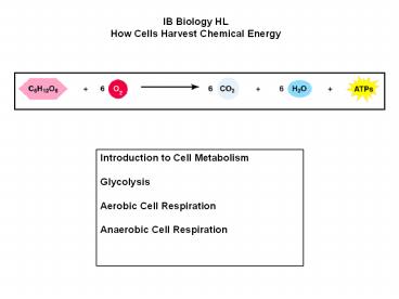 IB Biology HL presentation | free to view