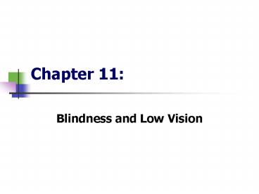 Blindness and Low Vision presentation | free to view
