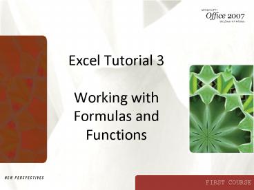 Excel Tutorial 3 Working with Formulas and Functions presentation ...