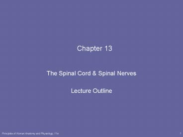 PPT – The Spinal Cord PowerPoint presentation | free to view - id ...