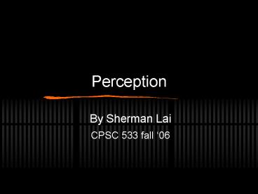 PPT – Perception PowerPoint presentation | free to download - id: deaf2 ...
