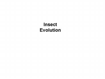 Insect Evolution presentation | free to view