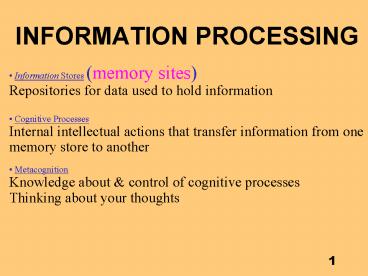 INFORMATION PROCESSING presentation | free to view
