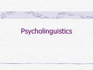 PPT – Psycholinguistics Language and the Brain PowerPoint presentation ...