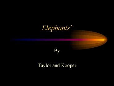 Elephants presentation | free to view