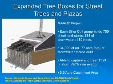 Expanded Tree Boxes for Street Trees and Plazas presentation | free to view