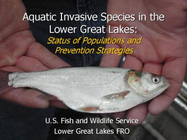 Aquatic Invasive Species in the Lower Great Lakes: Status of ...