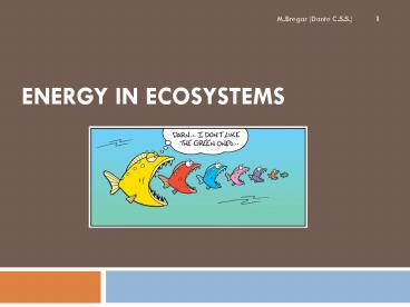 Science 9 - Energy Flow in Ecosystems presentation | free to download