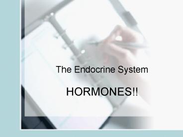The Endocrine System presentation | free to view