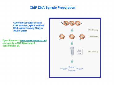 ChIP DNA Sample Preparation presentation | free to view