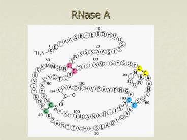 RNase A presentation | free to view
