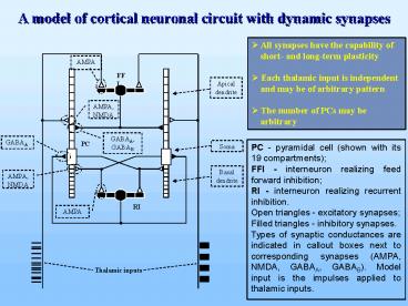 PPT – A model of cortical neuronal circuit with dynamic synapses PowerPoint presentation | free ...